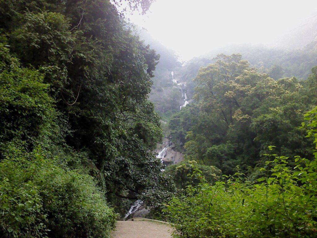 Coimbatore (Gandhipuram) to Siruvani, Sadivayal (Kovai Kutralam ...