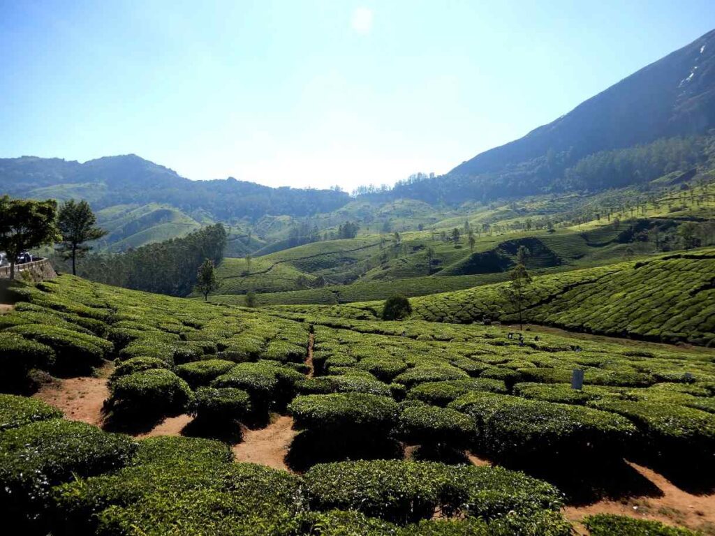 KSRTC Munnar Double-Decker Bus – Royal View Route, Timings & Booking